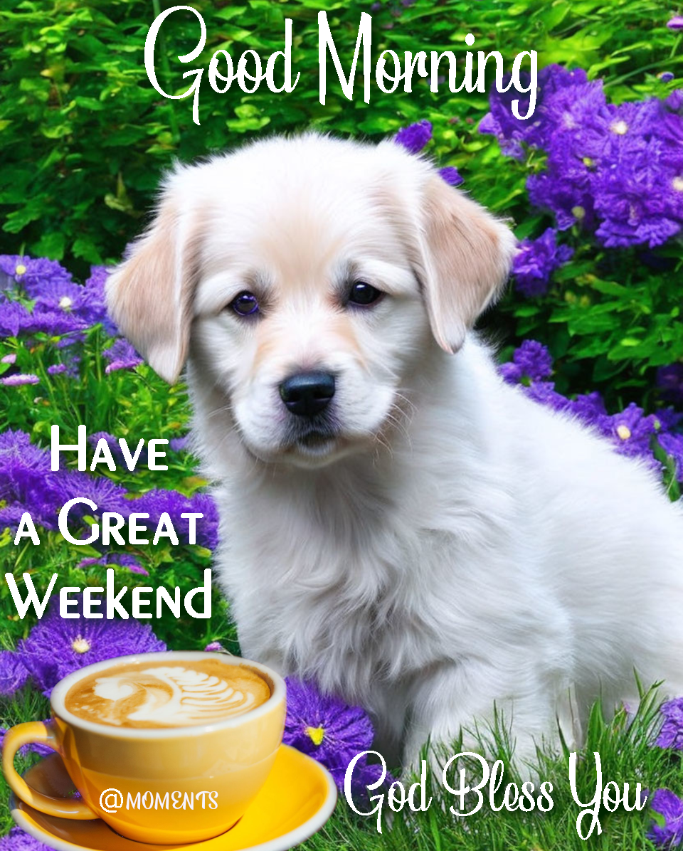 Happy Weekend Puppy