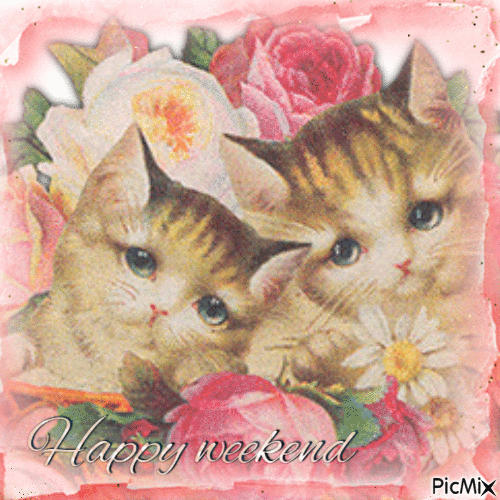 Happy Weekend Gif With Vintage Cat Pictures, Photos, and Images for ...