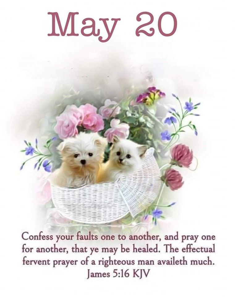 May 20: Confess Your Faults One To Another, And Pray One For Another ...