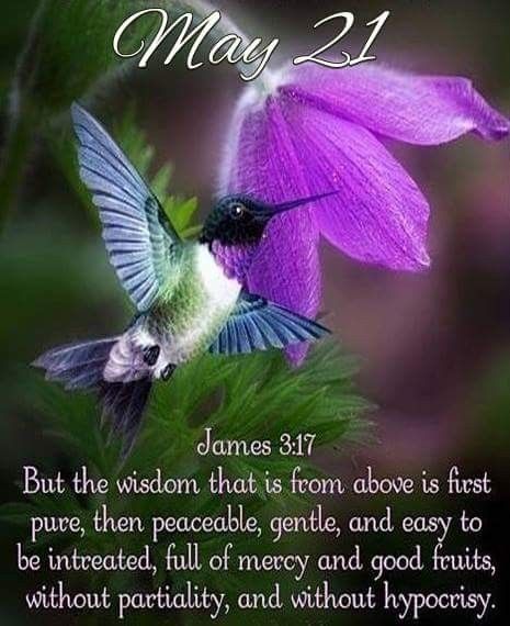 May 21 Blessing With Hummingbird Pictures, Photos, and Images for ...