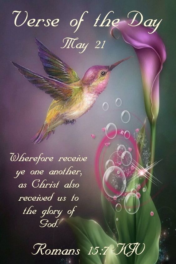 Verse Of The Day: May 21 Pictures, Photos, and Images for Facebook ...