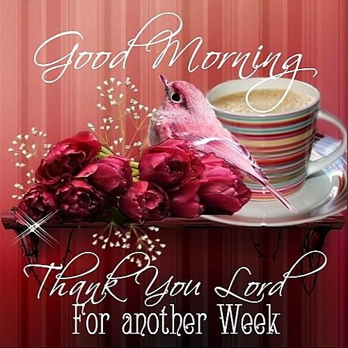 Thank You For Another Week Lord, Good Morning Pictures, Photos, and ...