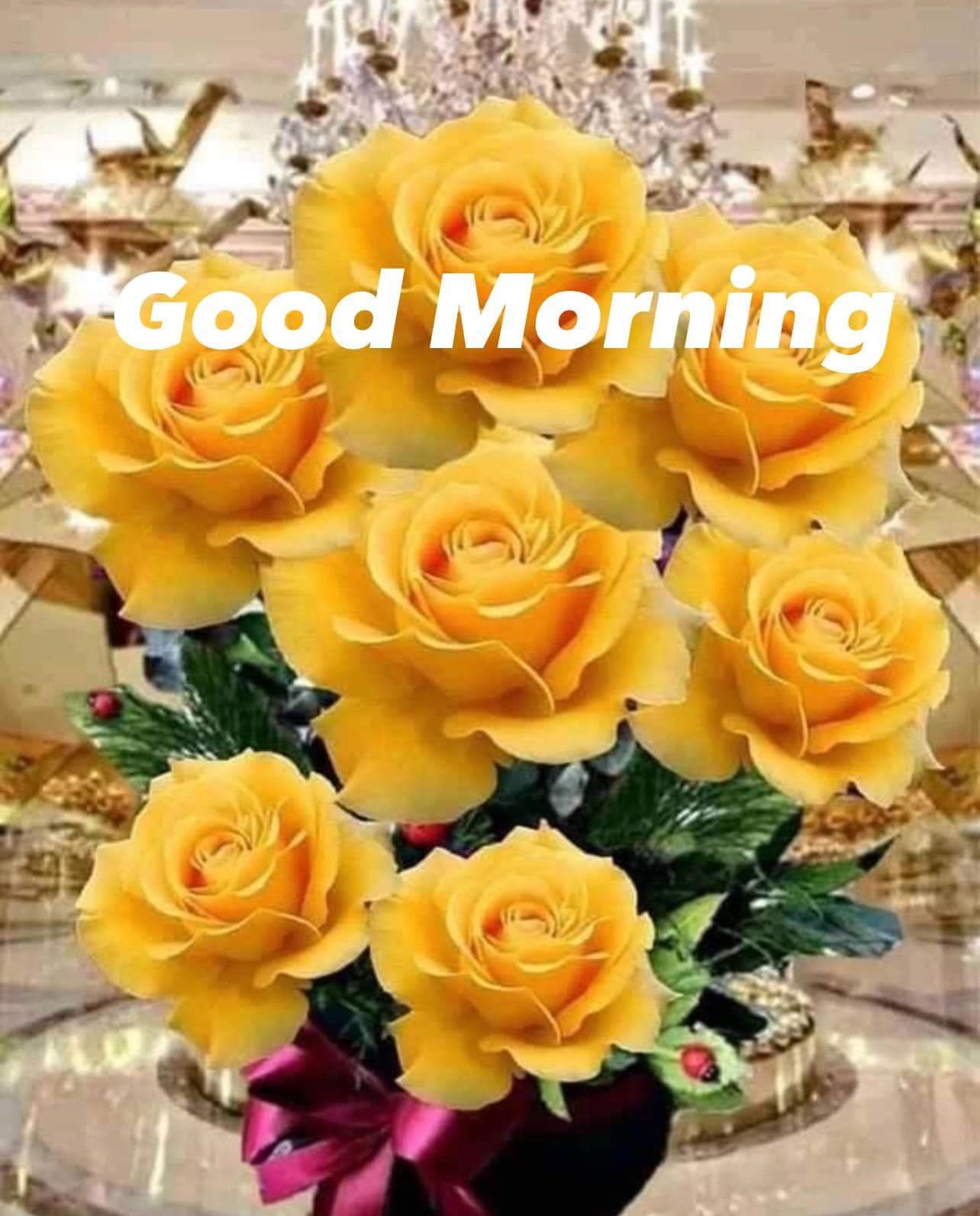 Good Morning Greeting With Yellow Roses Pictures, Photos, and Images ...