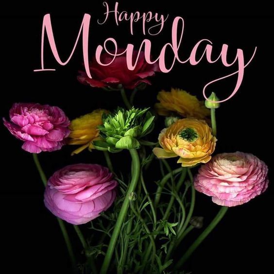 Happy Monday With Beautiful Flowers Pictures, Photos, and Images for ...