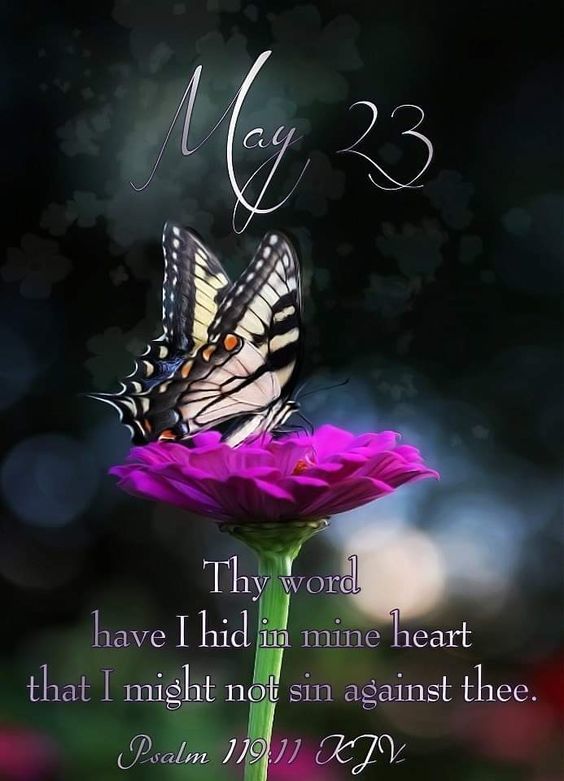 May 23: Thy Word Have I Hid In My Heart That I Might Not Sin Against ...