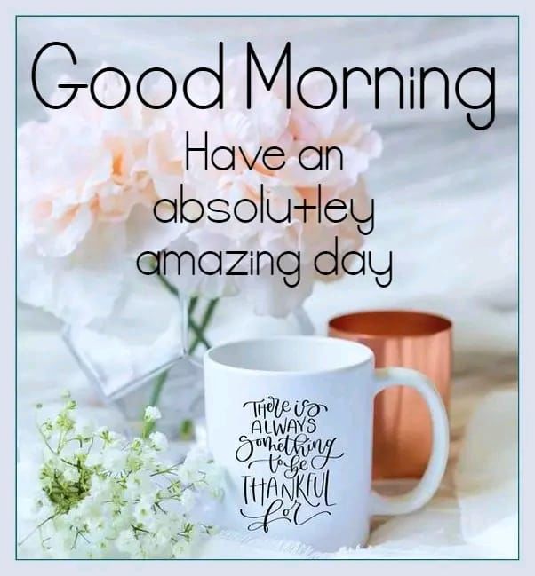 Good Morning: Have An Absolutely Amazing Day. Pictures, Photos, and ...