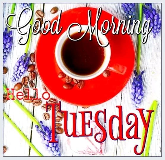 Good Morning & Hello Tuesday Pictures, Photos, and Images for Facebook ...