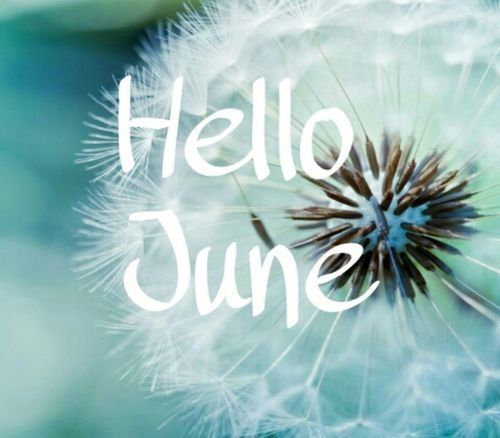 Hello June