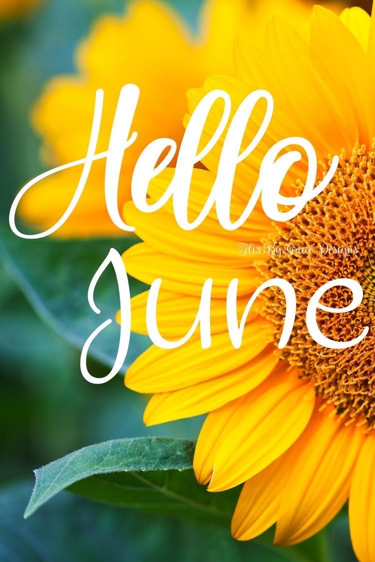 Hello June Sunflower Greeting Pictures, Photos, and Images for Facebook ...