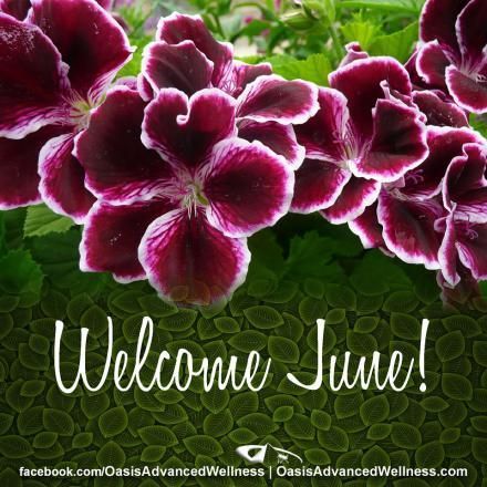 Welcome To June Pictures, Photos, and Images for Facebook, Tumblr ...