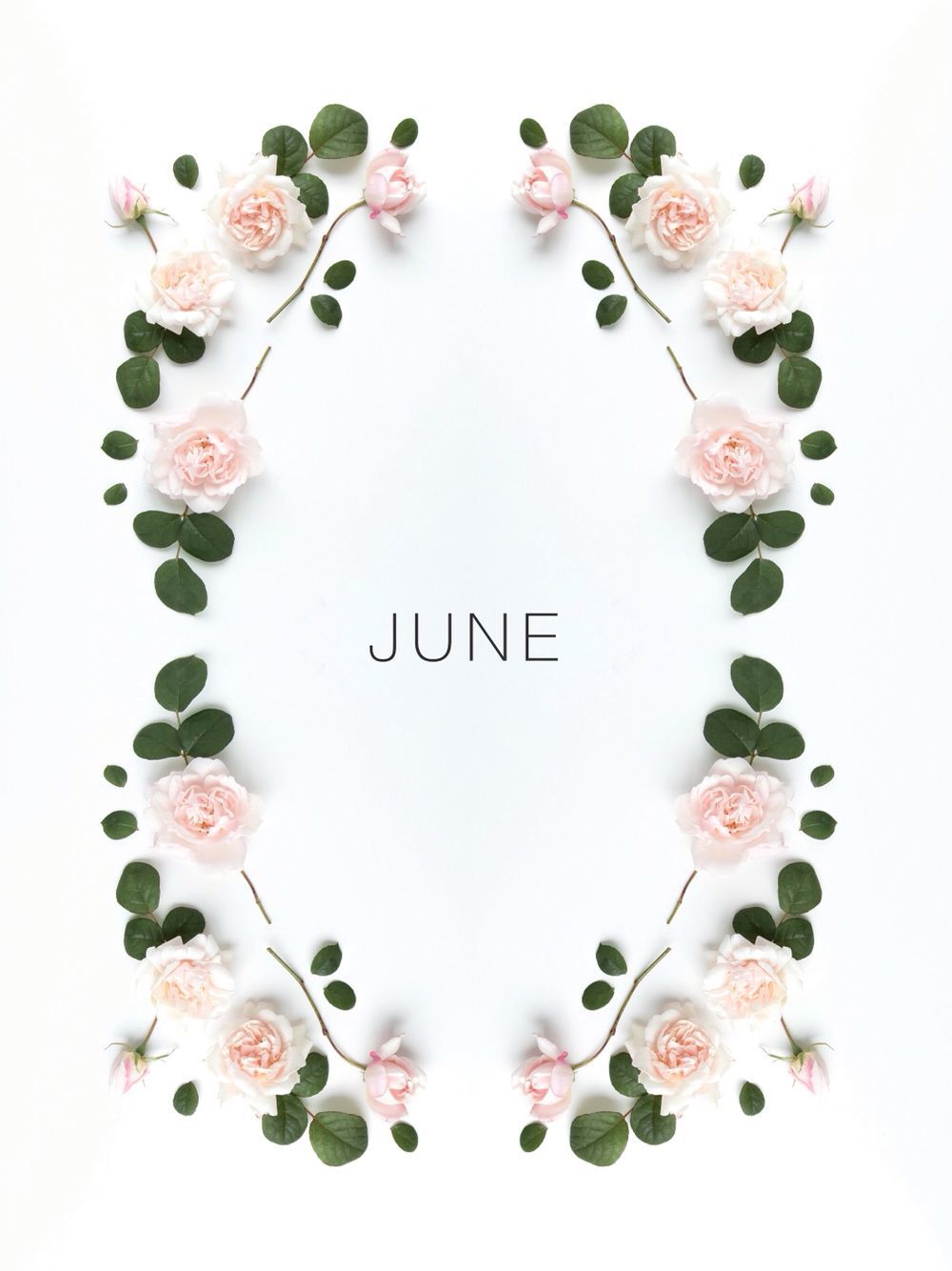 Pink Flower June Greeting Pictures, Photos, and Images for Facebook ...