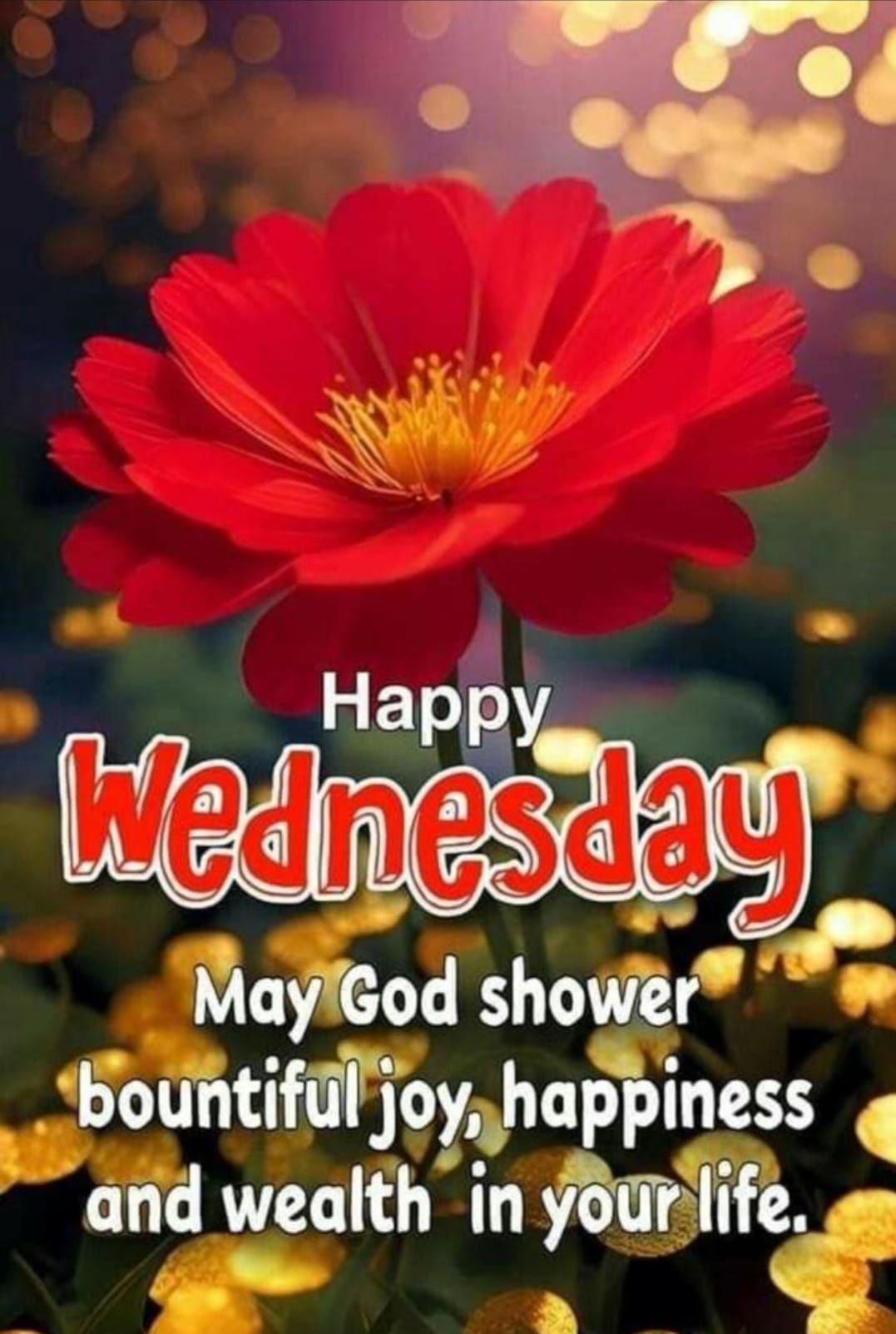 Happy Wednesday: May God Shower Bountiful Joy, Happiness And Wealth In ...