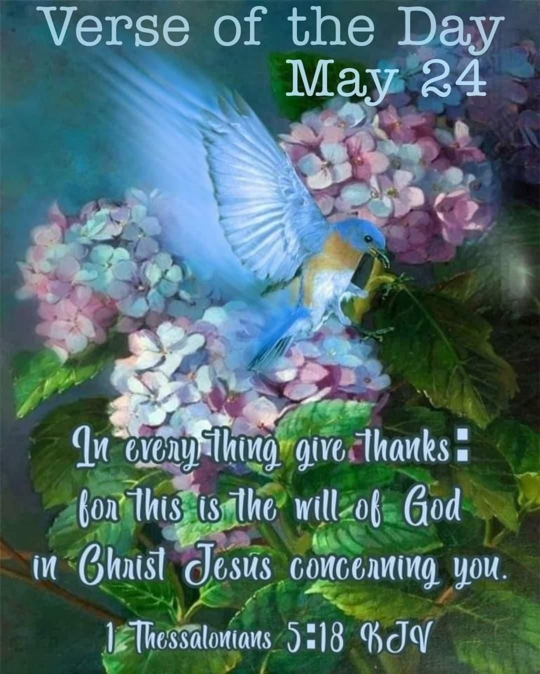 Verse Of The Day, May 24 Pictures, Photos, and Images for Facebook ...