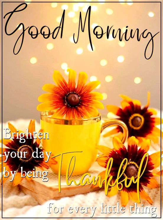 Brighten Your Day Being Thankful. Good Morning. Pictures, Photos, and ...