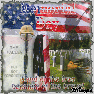 The Fallen But Not Forgotten: Memorial Day Pictures, Photos, and Images ...