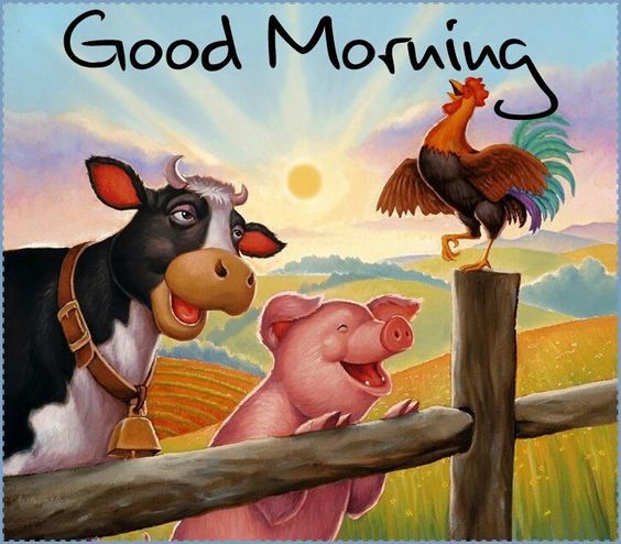 Good Morning Greetings With Cow, Pig And Rooster Pictures, Photos, and ...