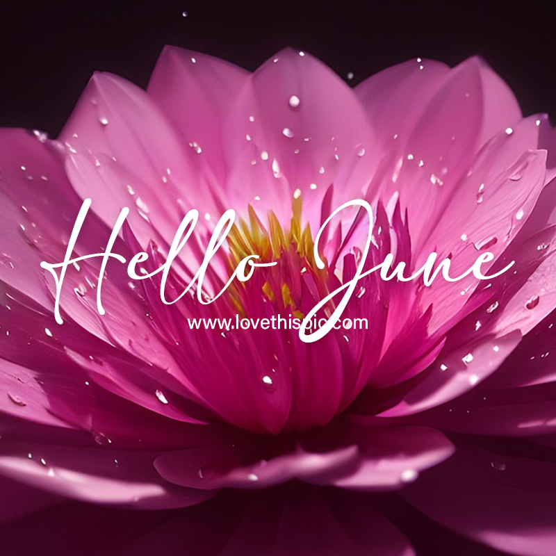 Lotus Hello June Pictures, Photos, and Images for Facebook, Tumblr ...