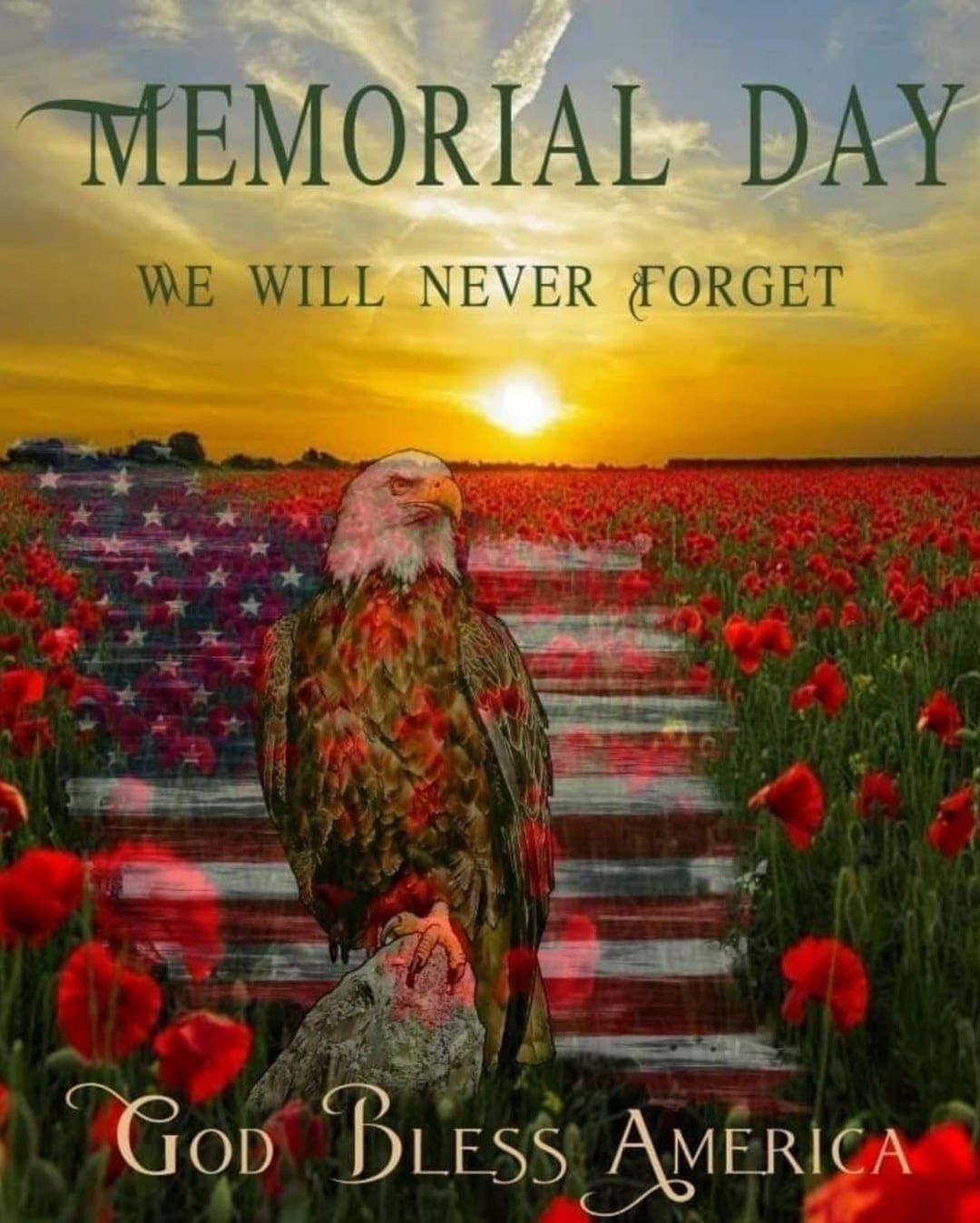 Memorial Day...We Will Never Never Forget Pictures, Photos, and Images for Facebook, Tumblr ...