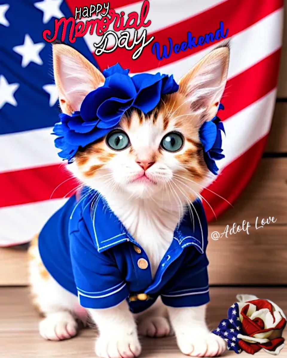 Patriotic Kitten - Happy Memorial Day Weekend Pictures, Photos, and ...