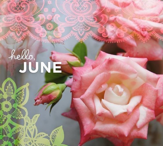 Hello June Quote With Pink Roses Pictures, Photos, and Images for ...