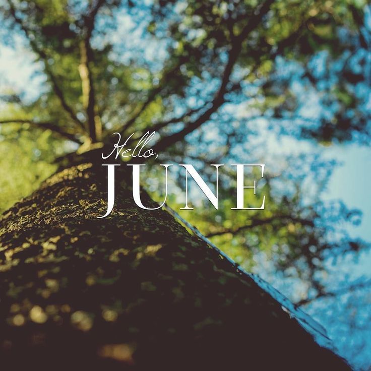 Tree In Nature - Hello June Greeting Pictures, Photos, and Images for ...