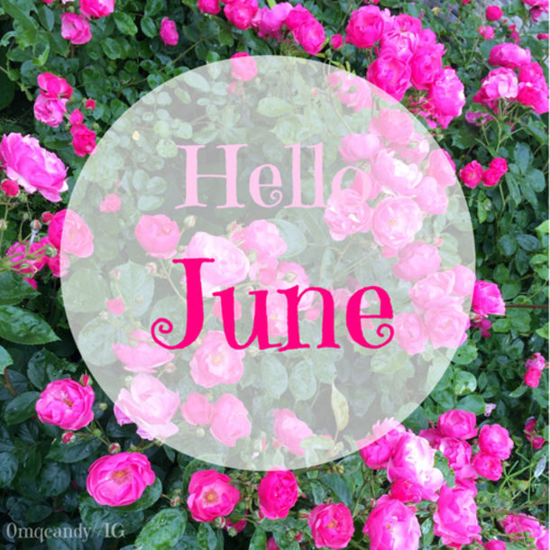 Hot Pink Flowers - Hello June Pictures, Photos, and Images for Facebook ...