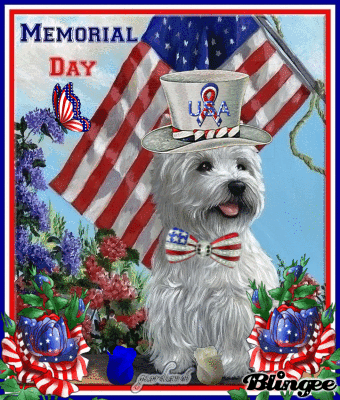 Cute Memorial Day Puppy Greeting Pictures, Photos, and Images for ...