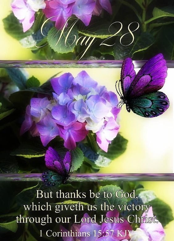 May 28 Scripture: But Thanks Be To God, Which Giveth Us The Victory ...