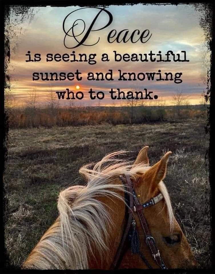 Peace Is Seeing A Beautiful Sunset And Knowing Who To Thank. Pictures ...