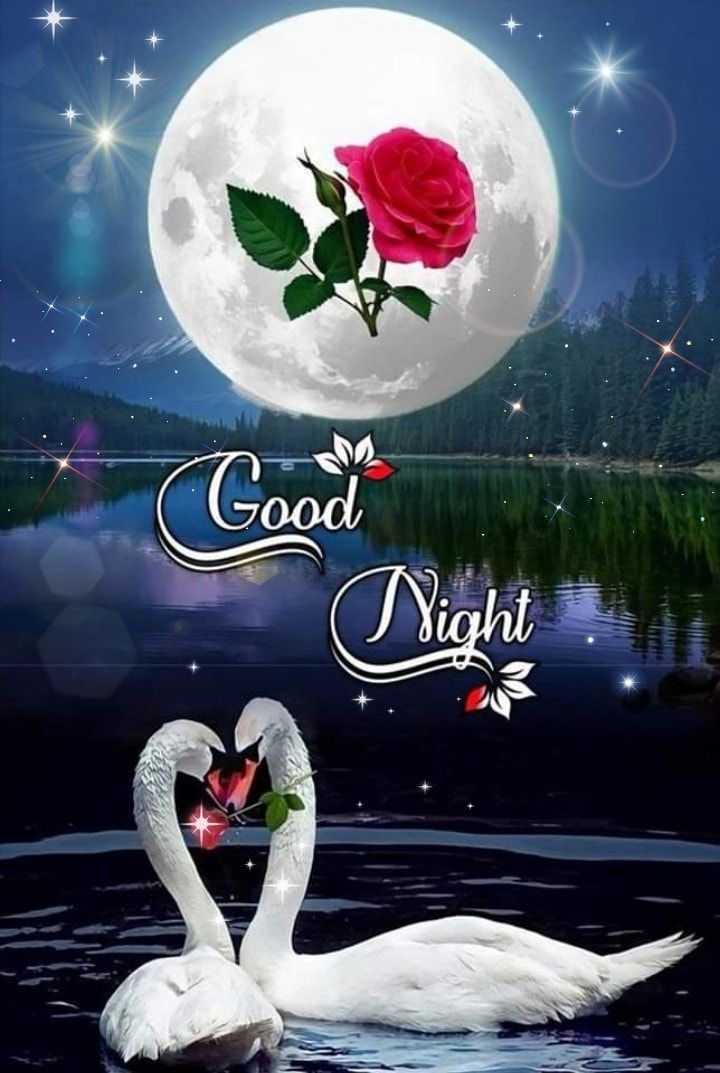 Good Night Swan And Rose Greeting Pictures, Photos, and Images for ...