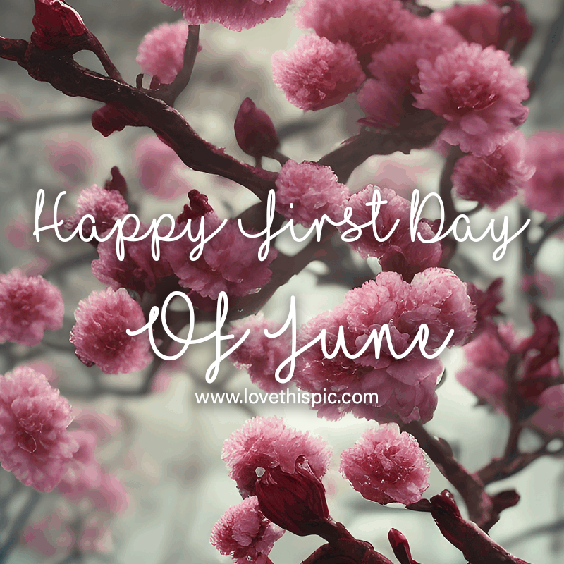 Floral Garden - Happy First Day Of June Greeting Pictures, Photos, and ...