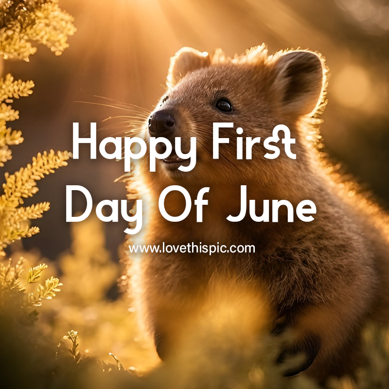 Happy First Day Of June Pictures, Photos, and Images for Facebook ...