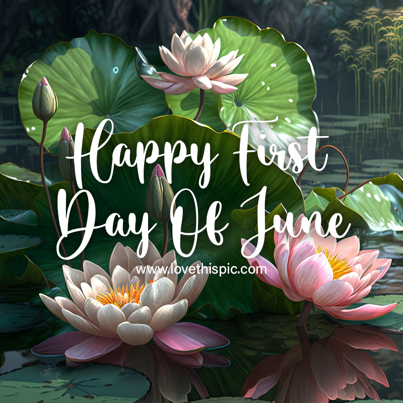 Happy 1st Day Of June With Lotus Flower Pictures, Photos, and Images ...