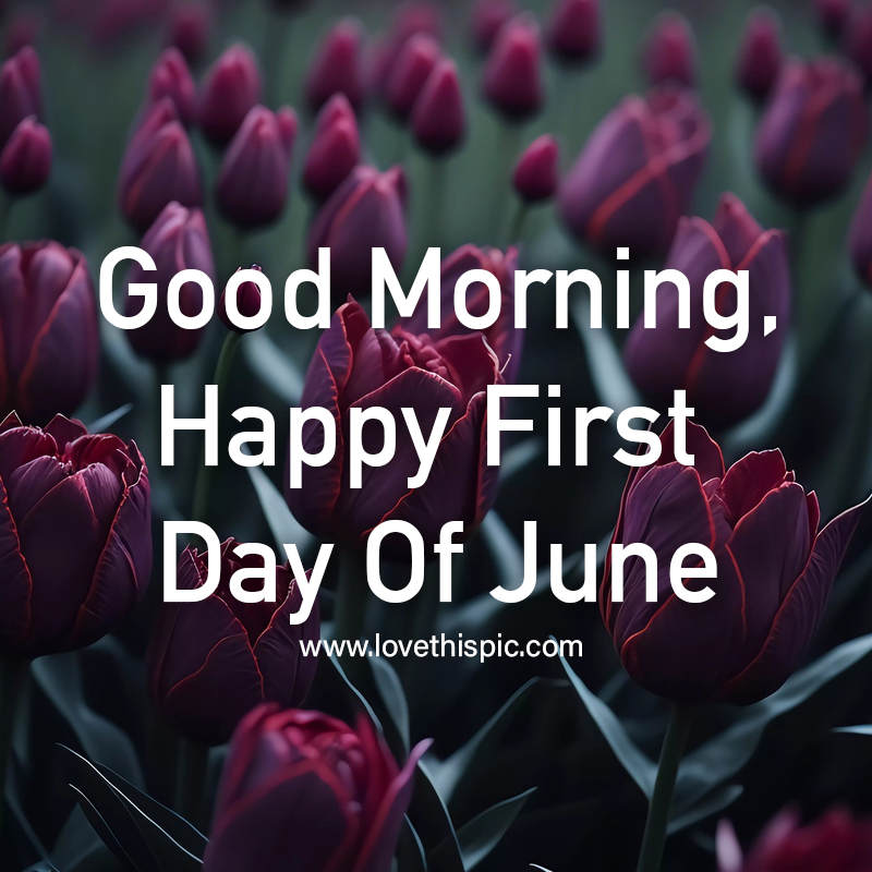 Good Morning, Happy First Day Of June Pictures, Photos, and Images for ...