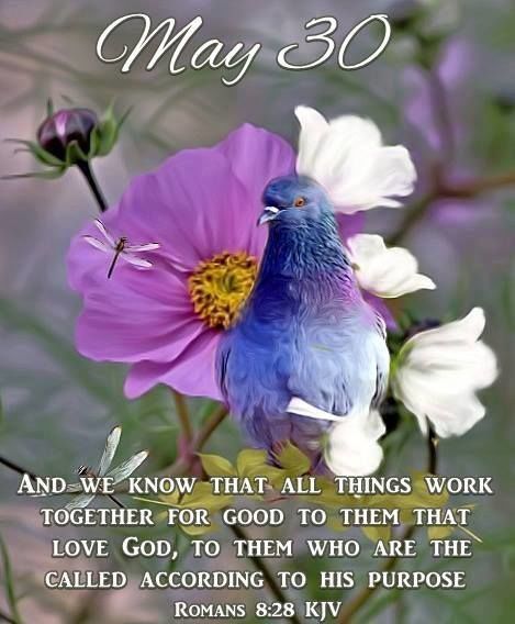 May 30 Pictures, Photos, and Images for Facebook, Tumblr, Pinterest ...