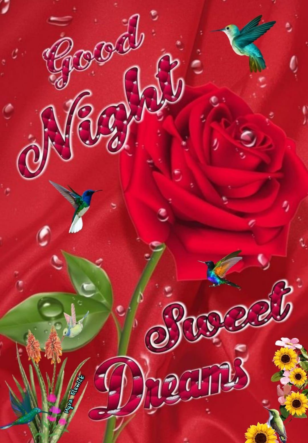 Wet Red Rose - Good Night Pictures, Photos, and Images for Facebook ...