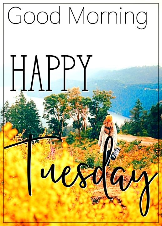 Happy Tuesday Morning Pictures