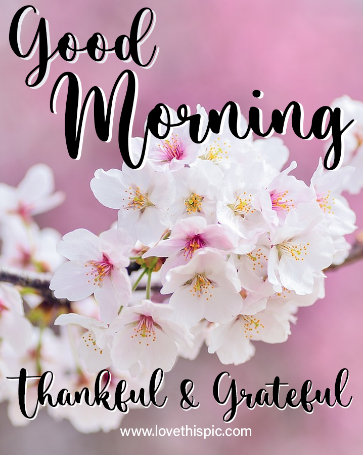 Thankful & Grateful: Good Morning Pictures, Photos, and Images for ...