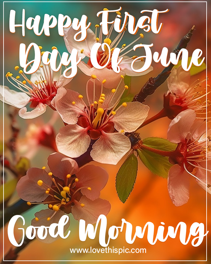 Cherry Blossom - First Day Of June, Good Morning Pictures, Photos, and ...