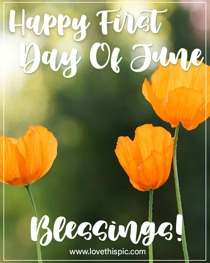 Orange Poppies - Happy First Day Of June Pictures, Photos, and Images ...