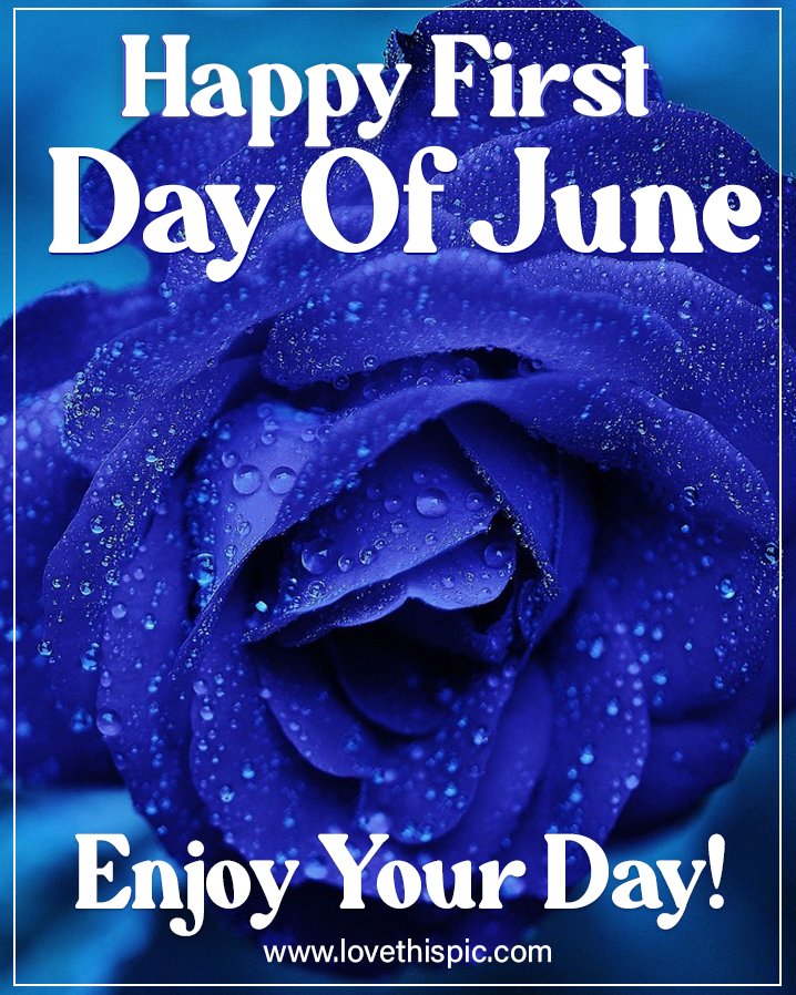 Blue Rose - Happy First Day Of June Pictures, Photos, and Images for ...