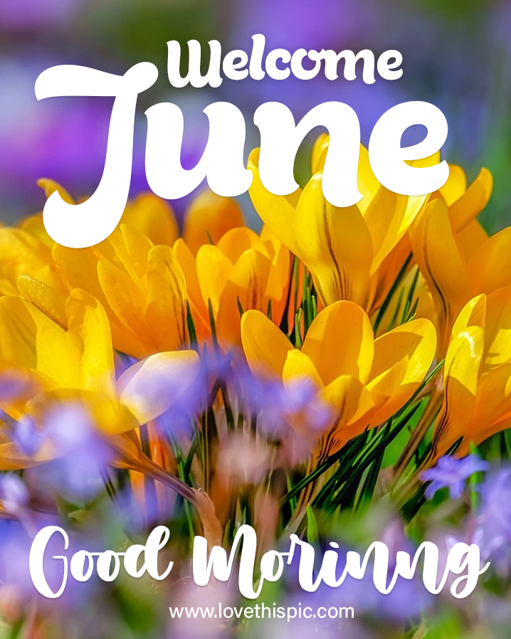 Hello June & Good Morning (With Yellow Crocus) Pictures, Photos, and ...