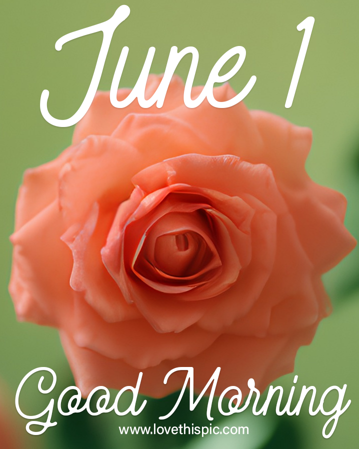 June 1 Good Morning Pictures, Photos, and Images for Facebook, Tumblr ...
