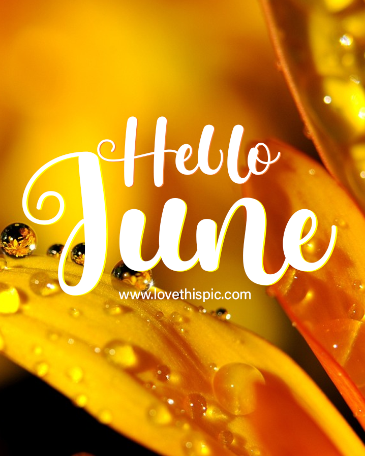 Yellow Petals - Hello June Pictures, Photos, and Images for Facebook ...