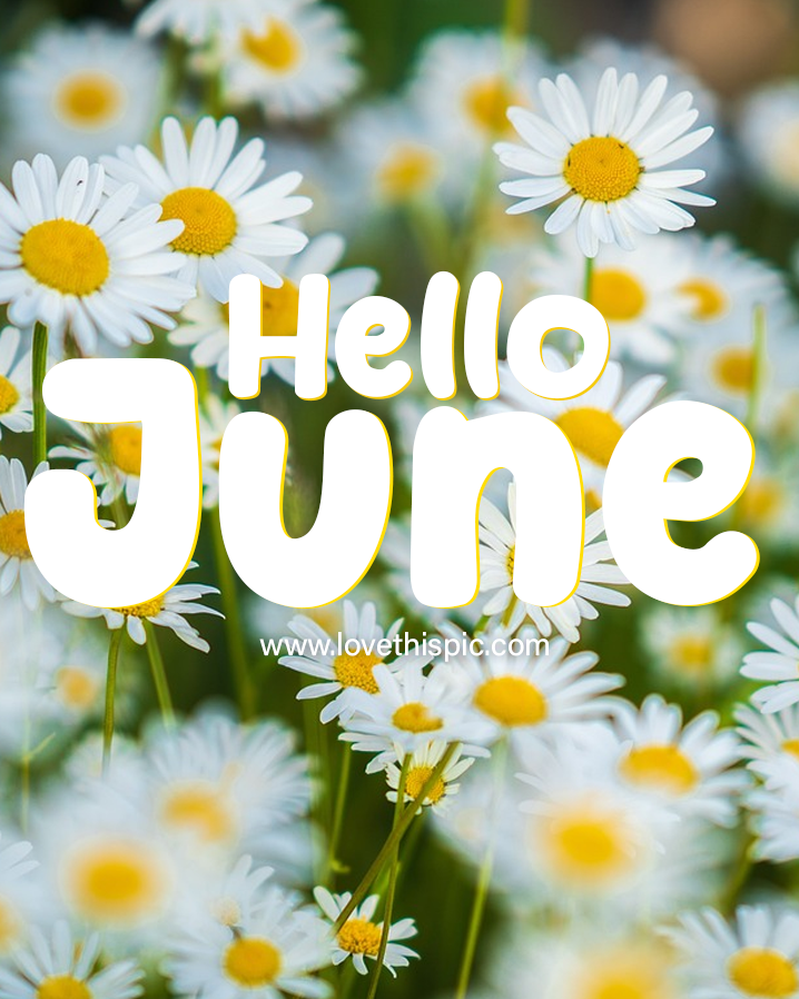 Daisy Meadow - Hello June Pictures, Photos, and Images for Facebook ...