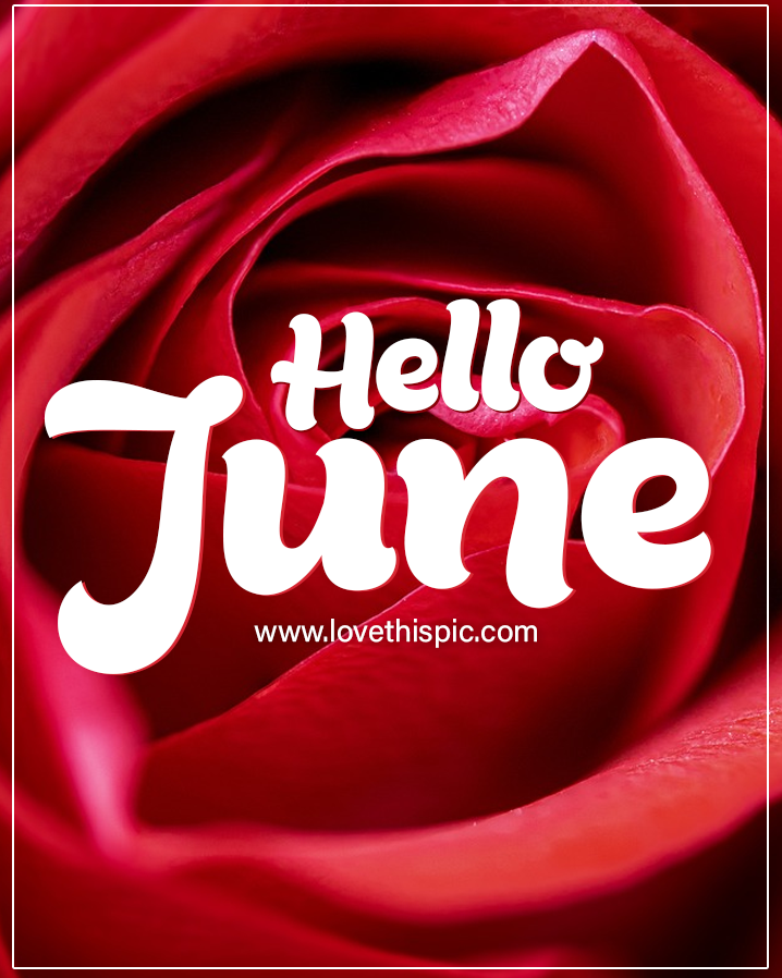 Lovely Rose Hello June Greeting Pictures, Photos, and Images for ...