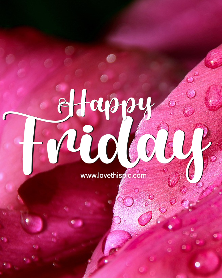 Pink Flower Petals - Happy Friday Pictures, Photos, and Images for ...