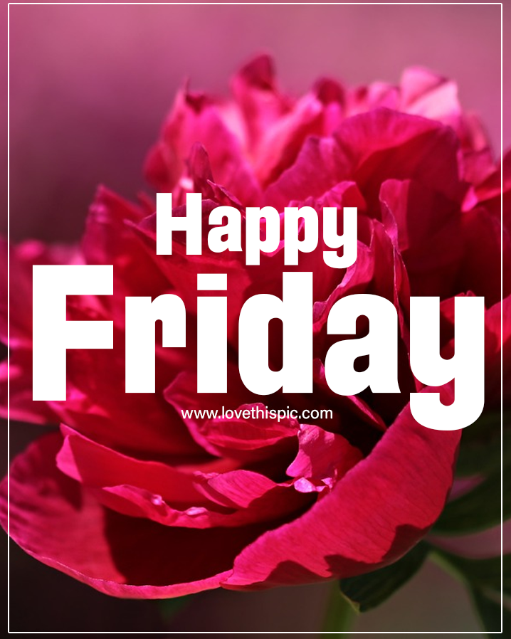 Happy Friday Pictures, Photos, and Images for Facebook, Tumblr ...