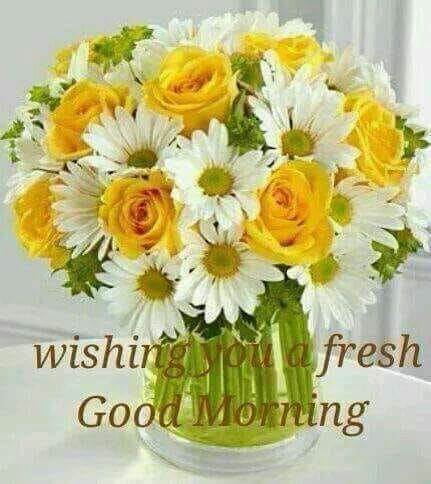Wishing You A Fresh Good Morning Pictures, Photos, and Images for ...