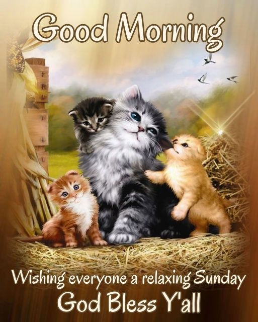 Good Morning Relaxing Sunday Pictures, Photos, and Images for Facebook ...